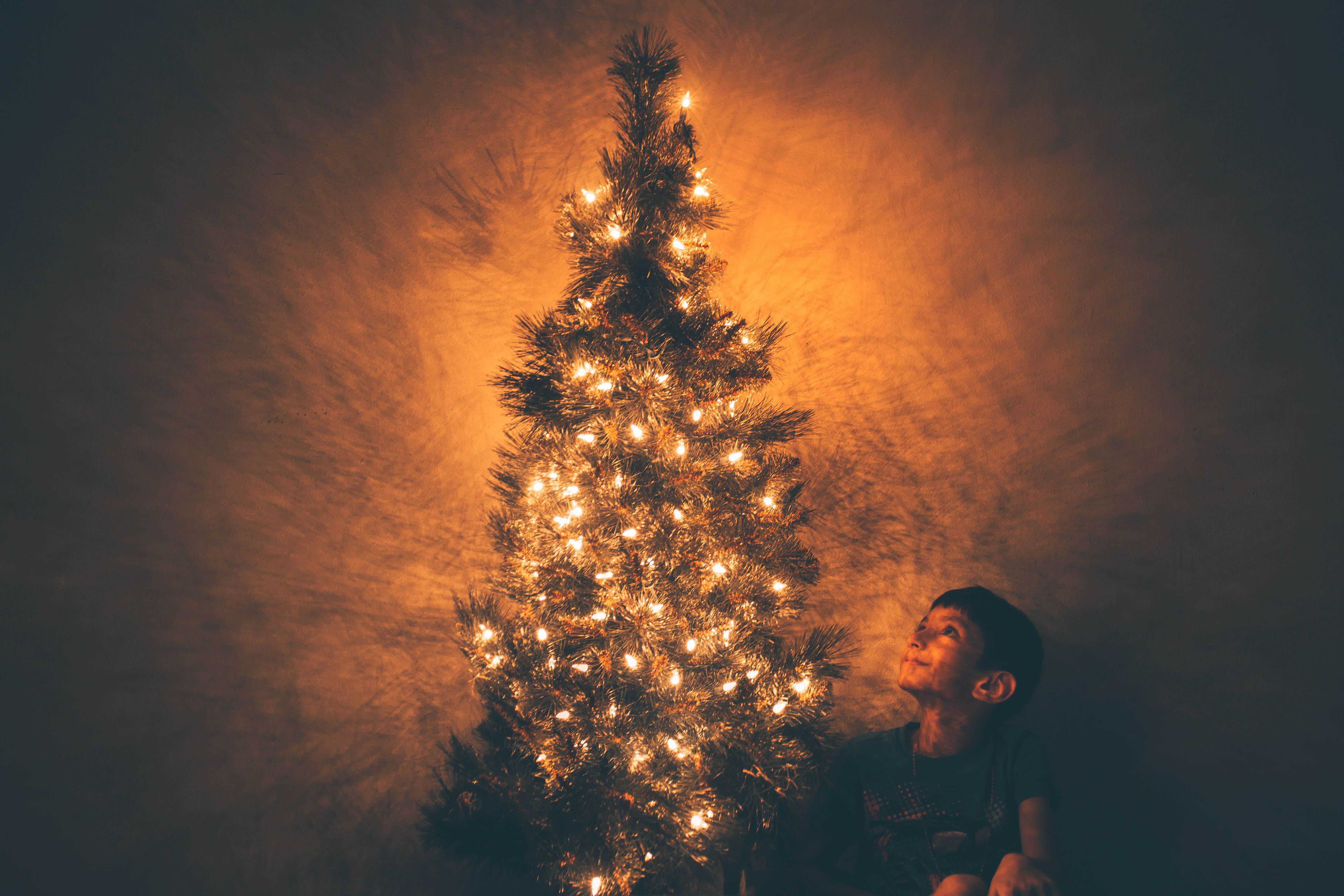 Christmas Photography: What to Capture and Tips to Getting the Perfect ...
