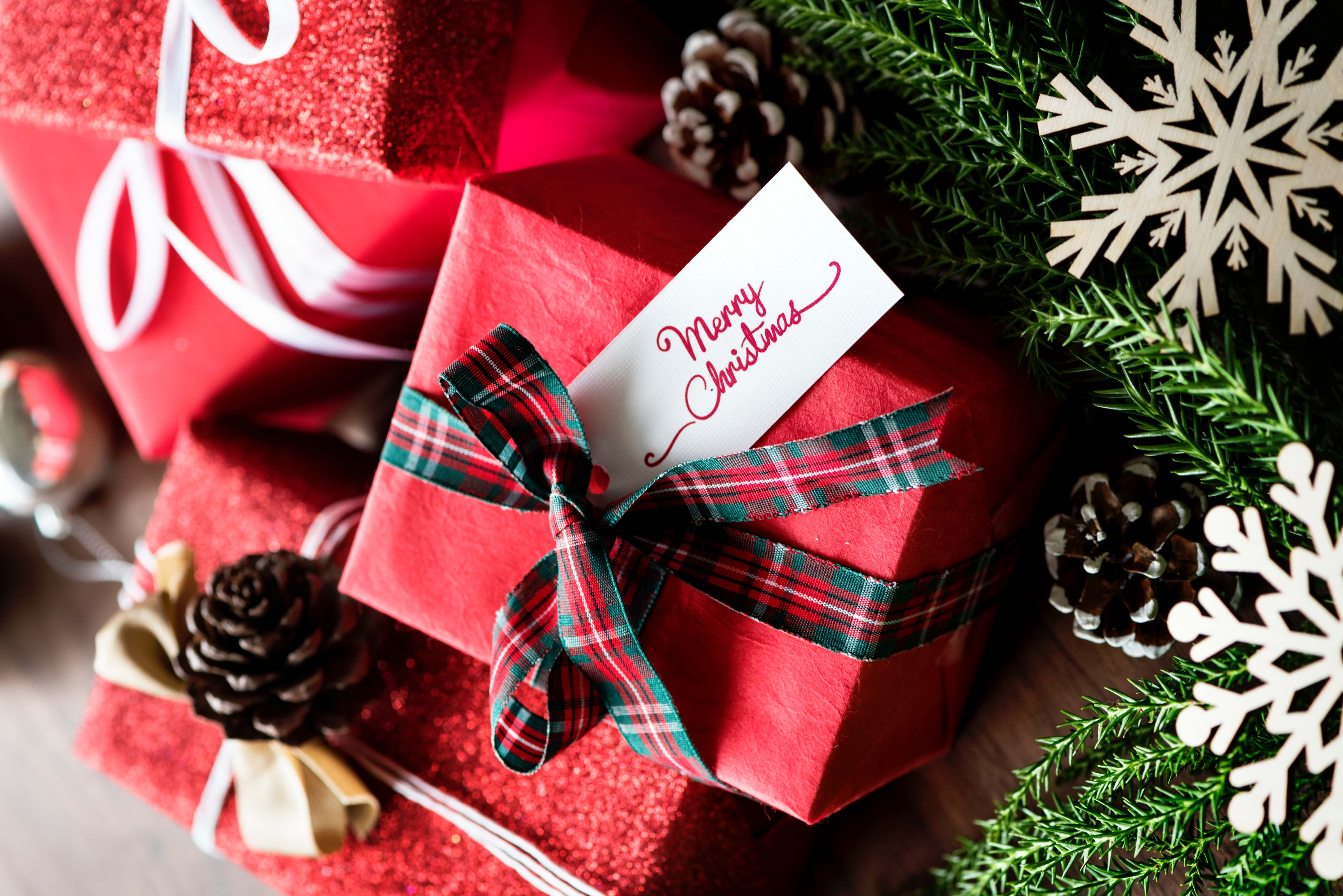 Christmas Photography: What to Capture and Tips to Getting the Perfect ...
