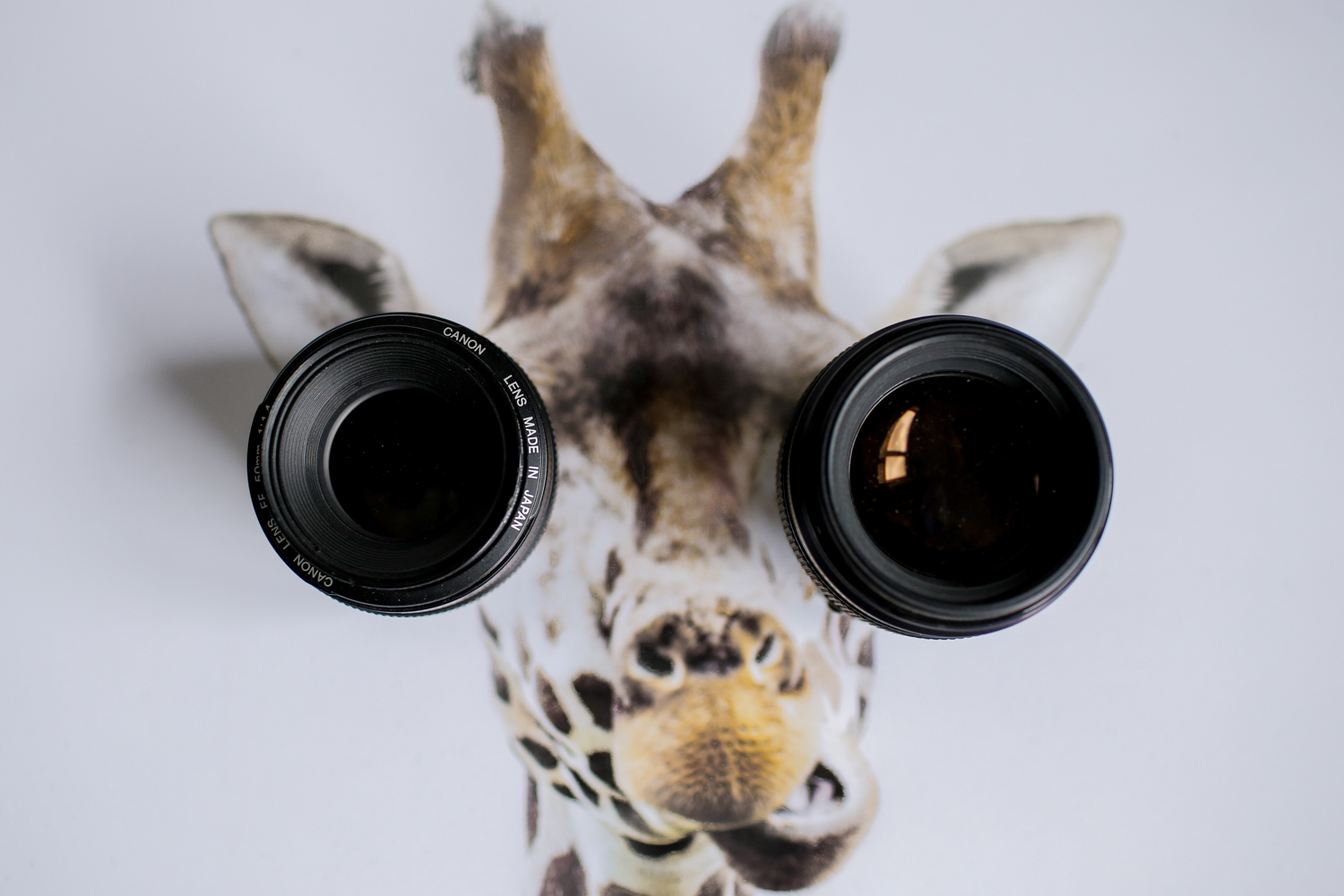 Kids Photography Guide for Beginners | Photojaanic Blog